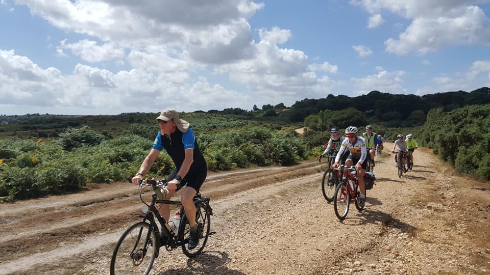 A guide to cycling in the New Forest | Cycling UK