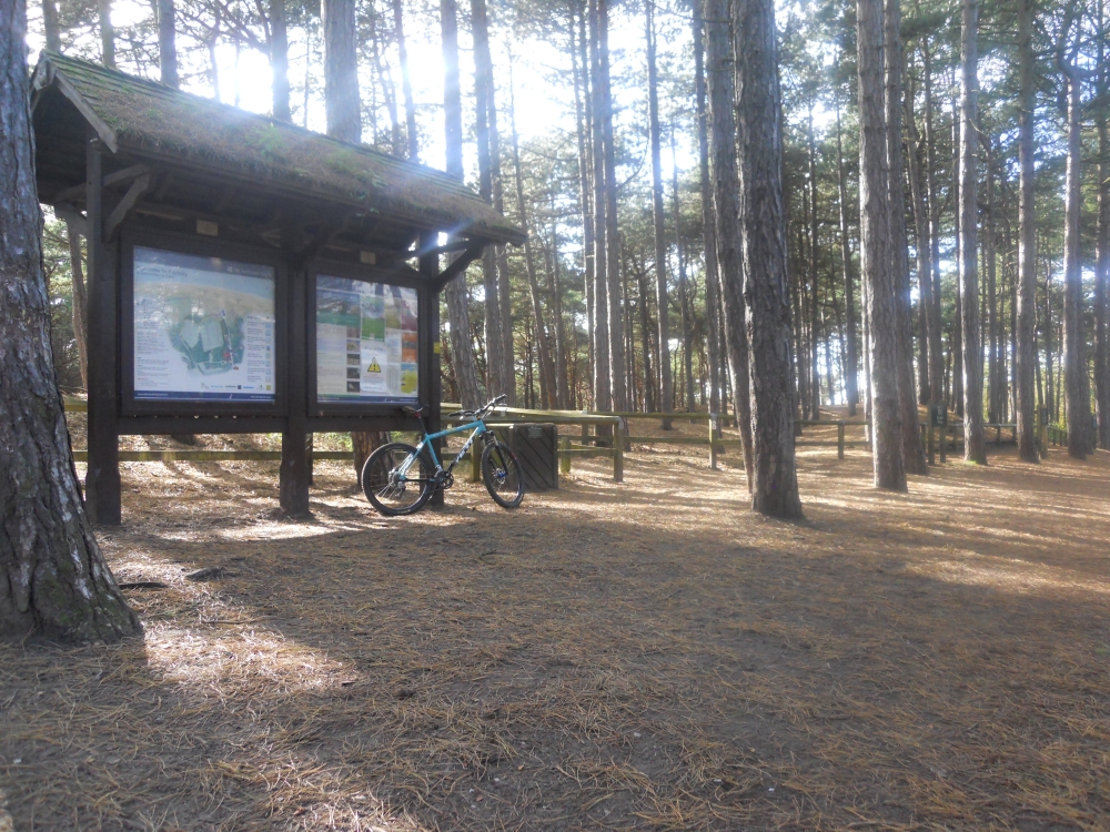 Visit Sefton and West Lancashire - Formby Squirrel Ride | Cycling UK