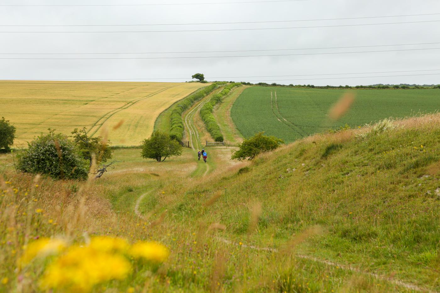 How King Alfred's Way began | Cycling UK