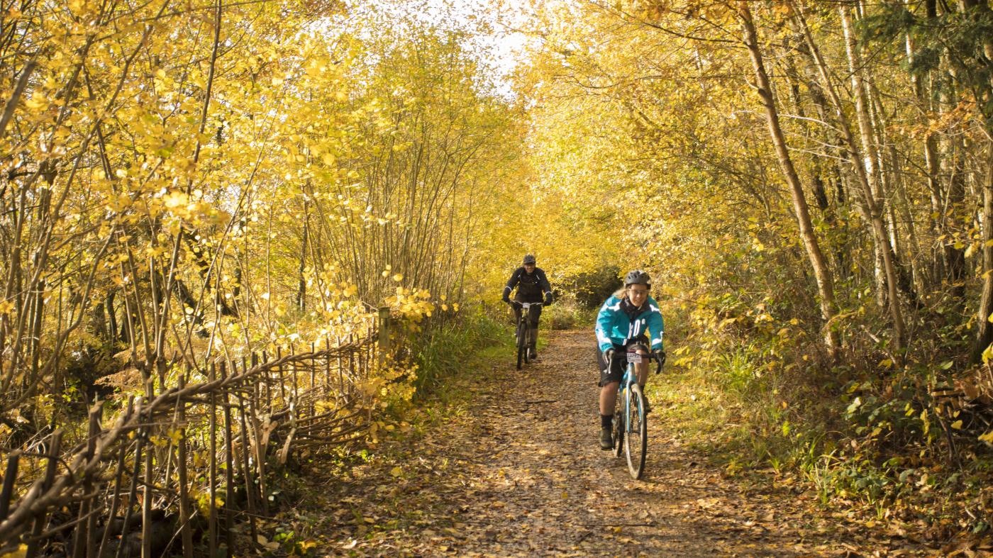Top 10 UK cycling destinations for autumn | Cycling UK