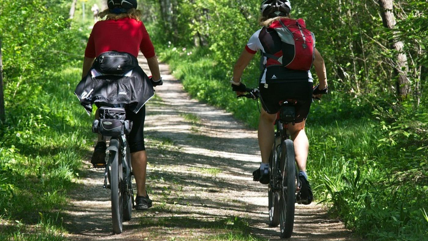 A guide to cycling in the New Forest | Cycling UK
