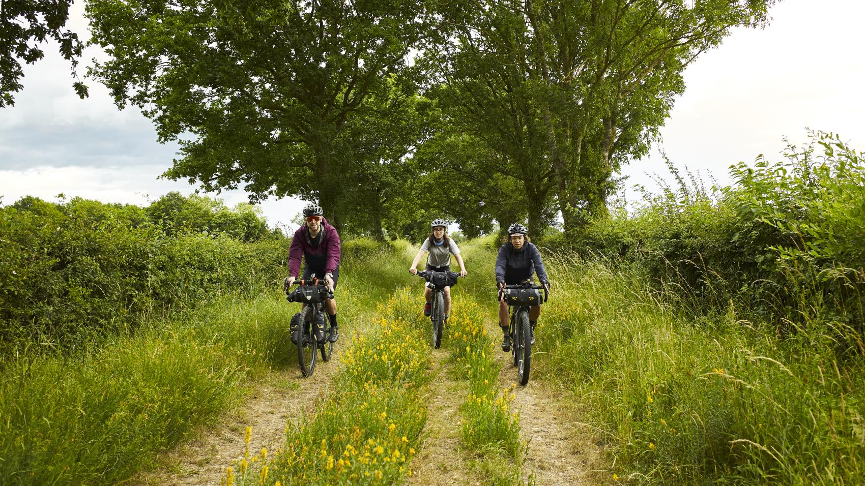 Rebellion Way: map and GPX file | Cycling UK