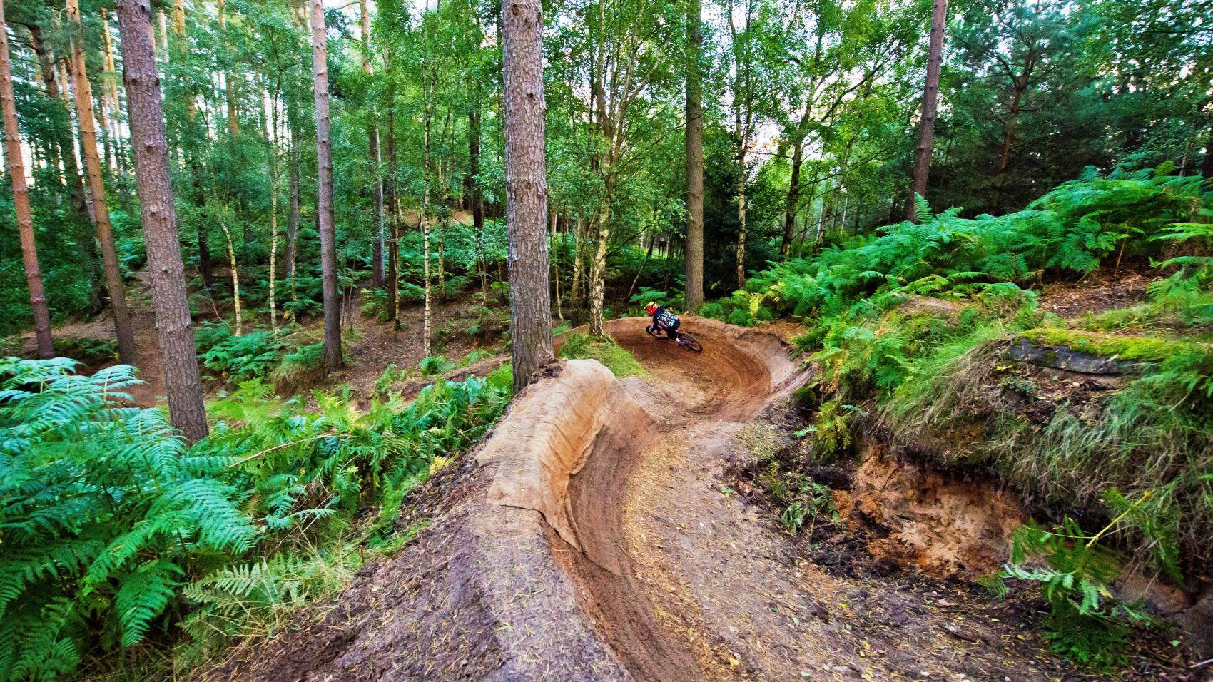 The Longslade Trail at Woburn Bike Trails | Cycling UK