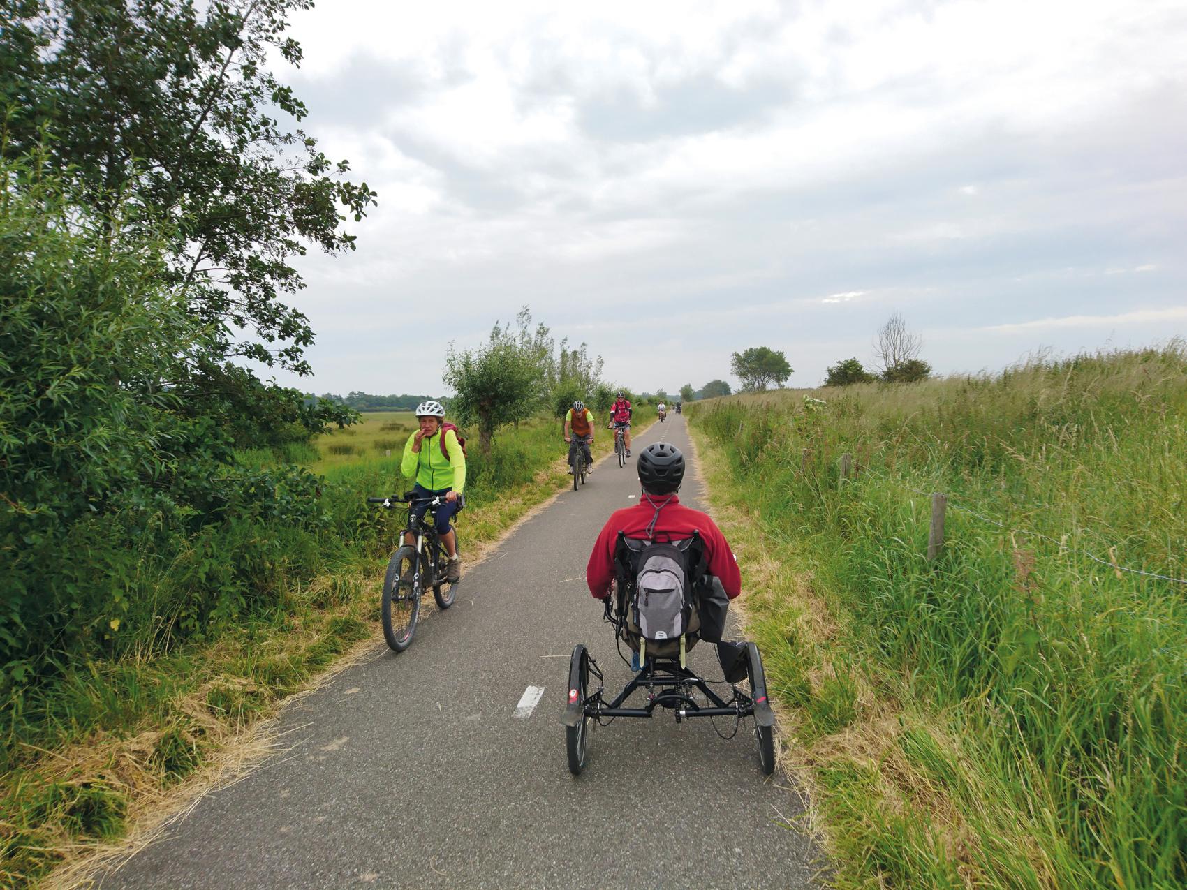 Great rides: electric-assisted cycling across the Netherlands | Cycling UK