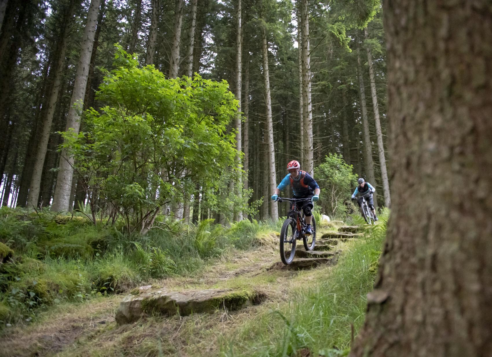 Six great places to ride in Northumberland | Cycling UK