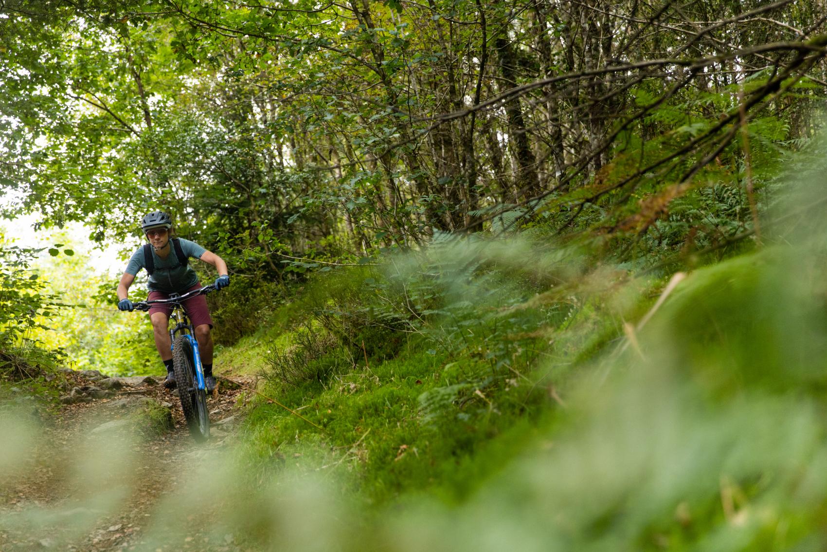 Traws Eryri: map and GPX file | Cycling UK