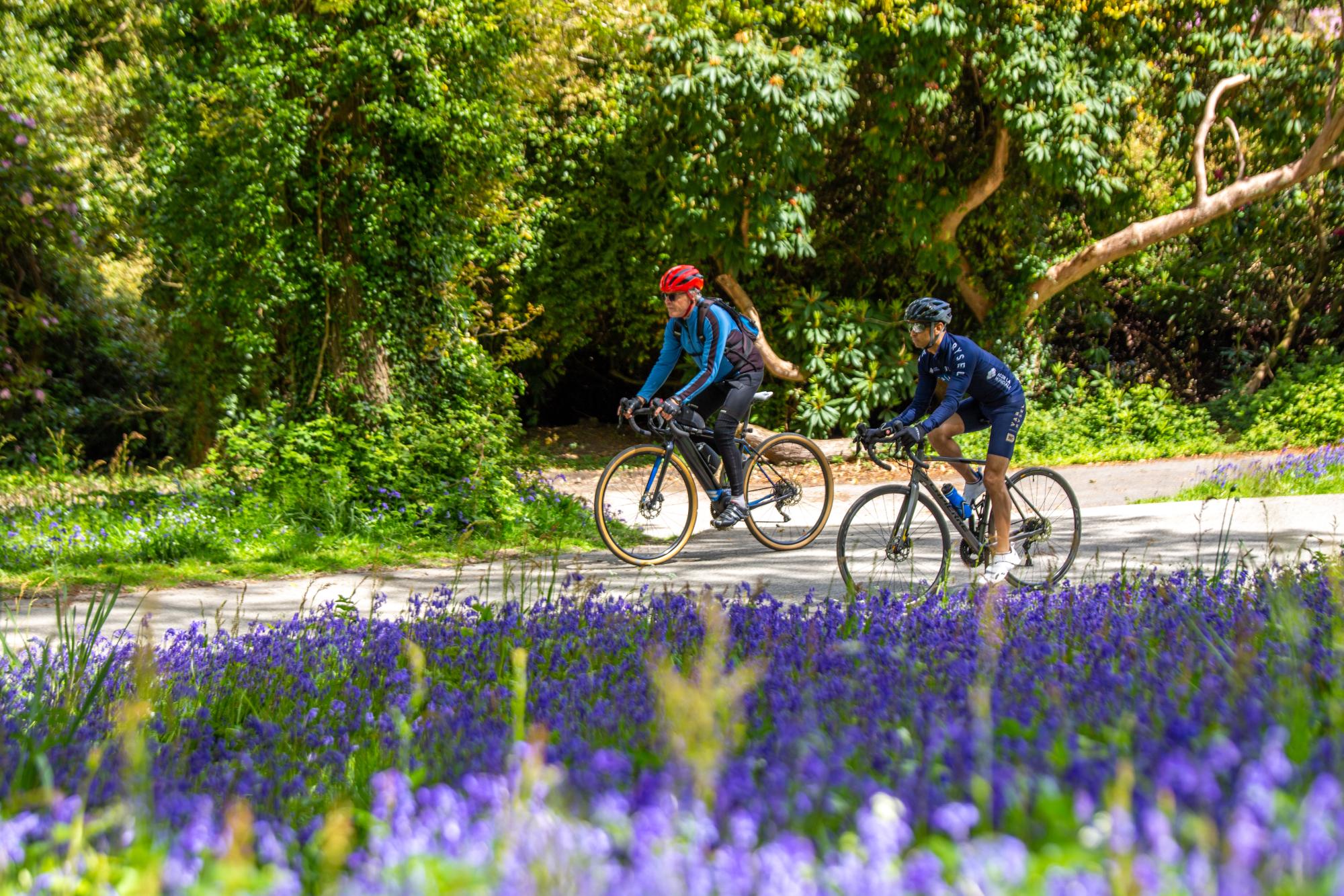 Experience Cornwall by bike | Cycling UK