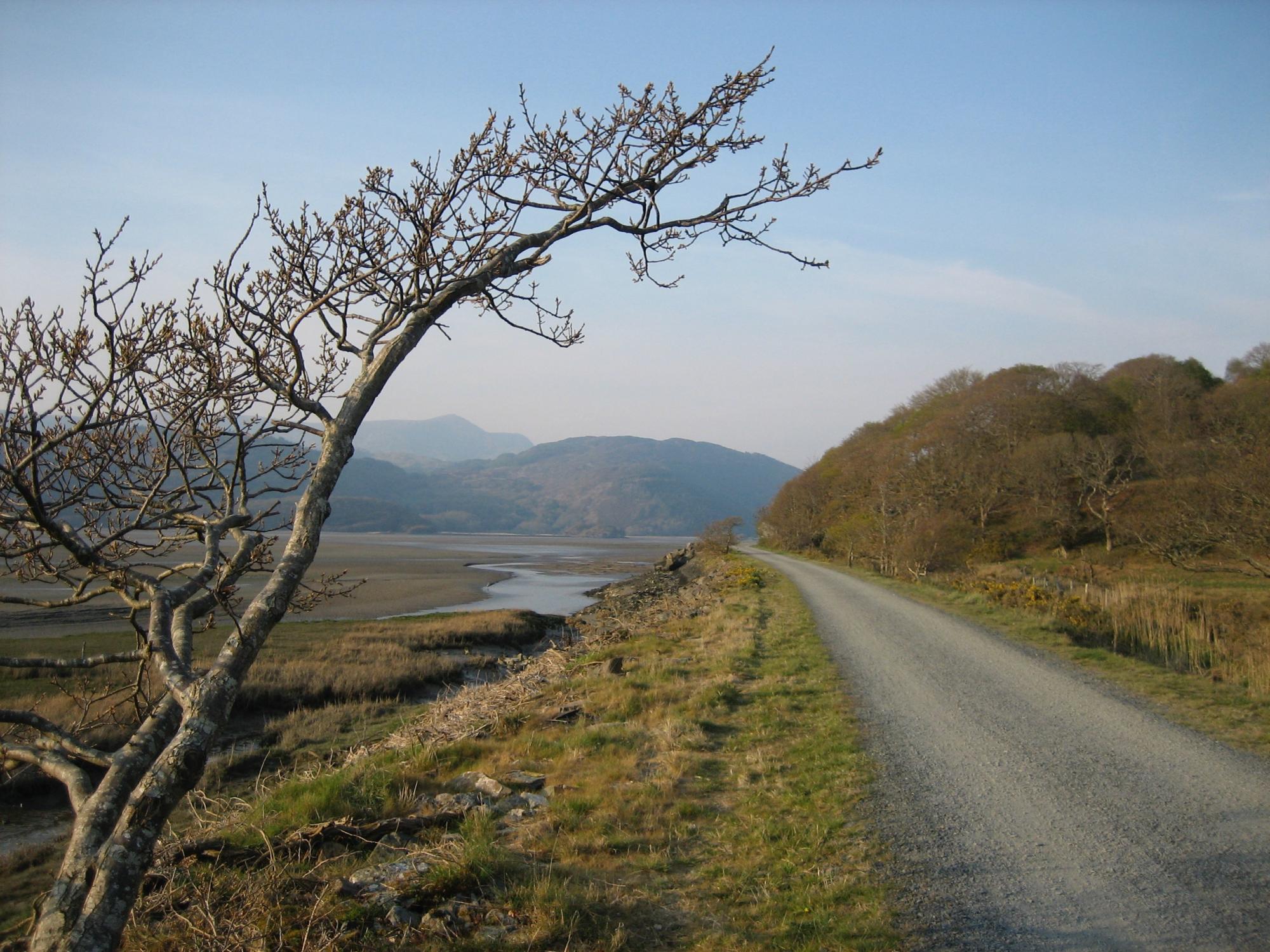 50 family-friendly cycle routes in the UK | Cycling UK