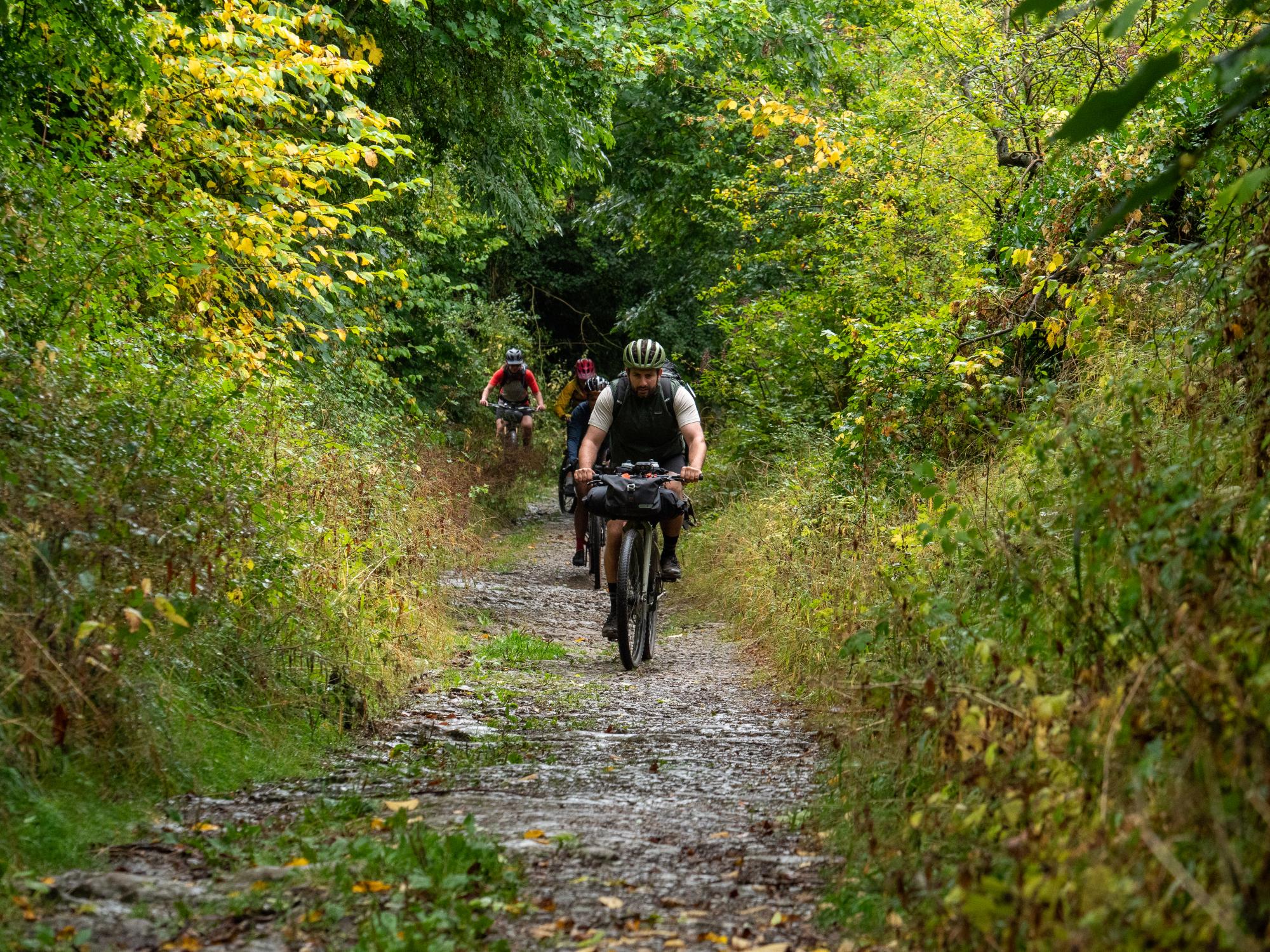 Marcher Castles Way taster loop | Cycling UK