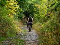 Marcher Castles Way taster loop | Cycling UK